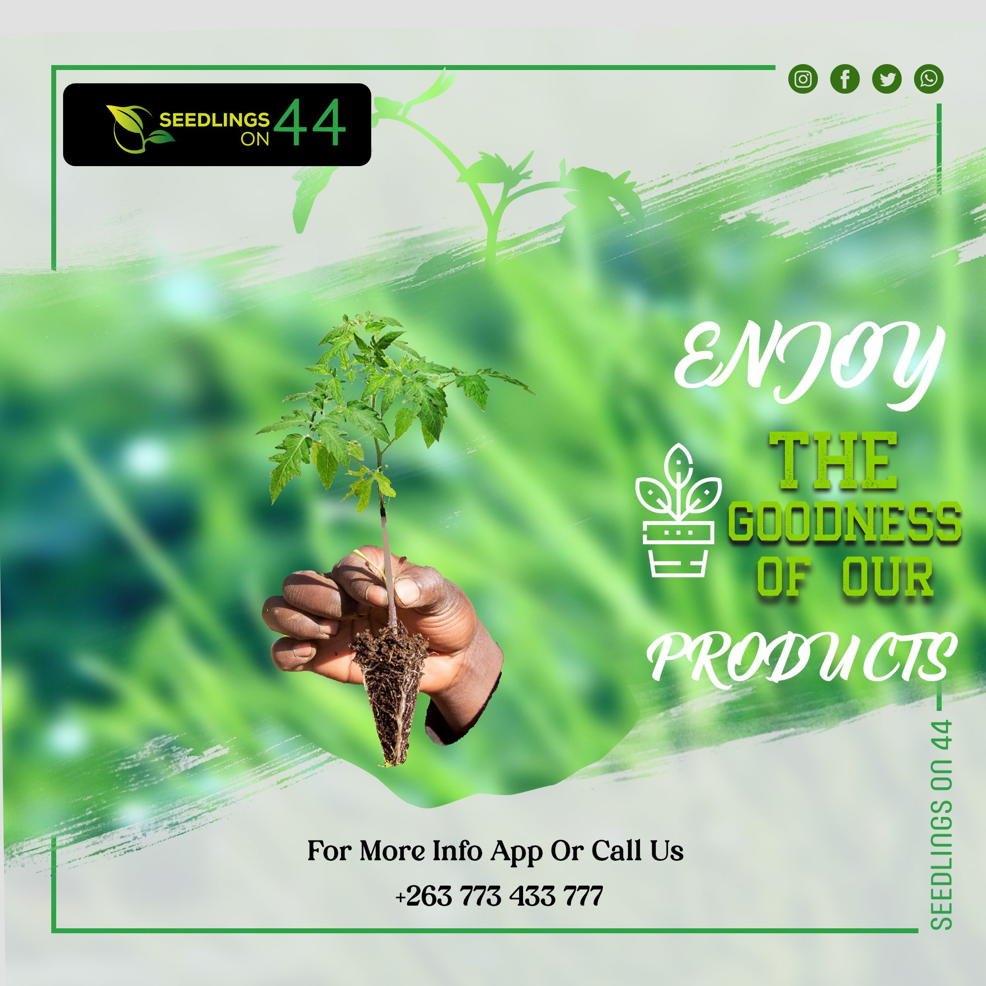 Giving Back To The Community - Seedlings On 44 Nursery